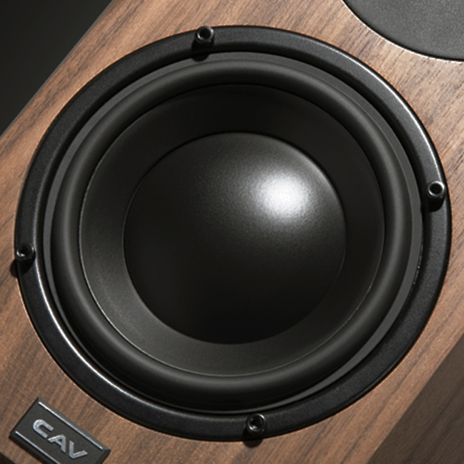 CAV SMART HOME-CAV SMART HOME